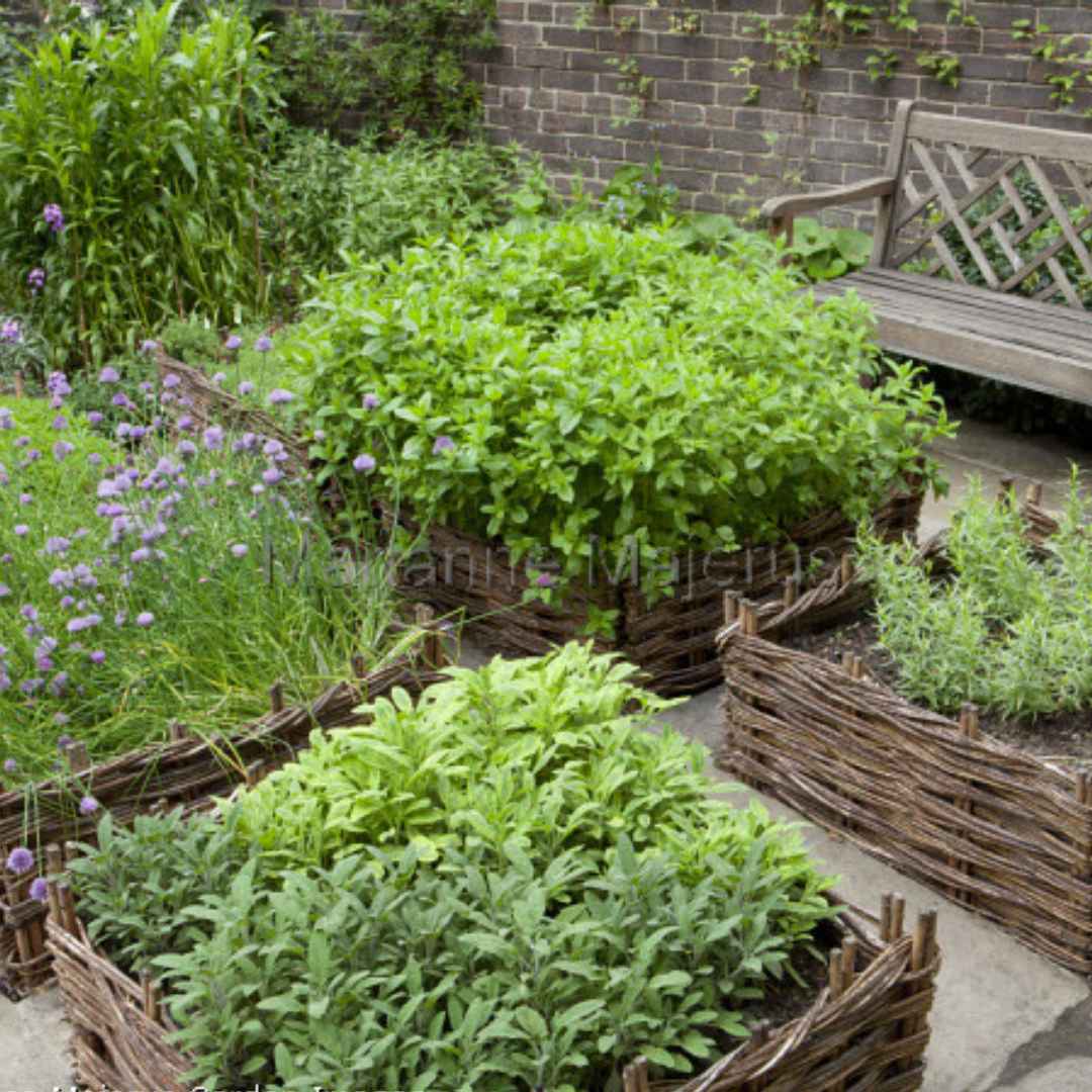 Raised Bed Gardening For Small Spaces: Creative Ideas: – Slick Garden