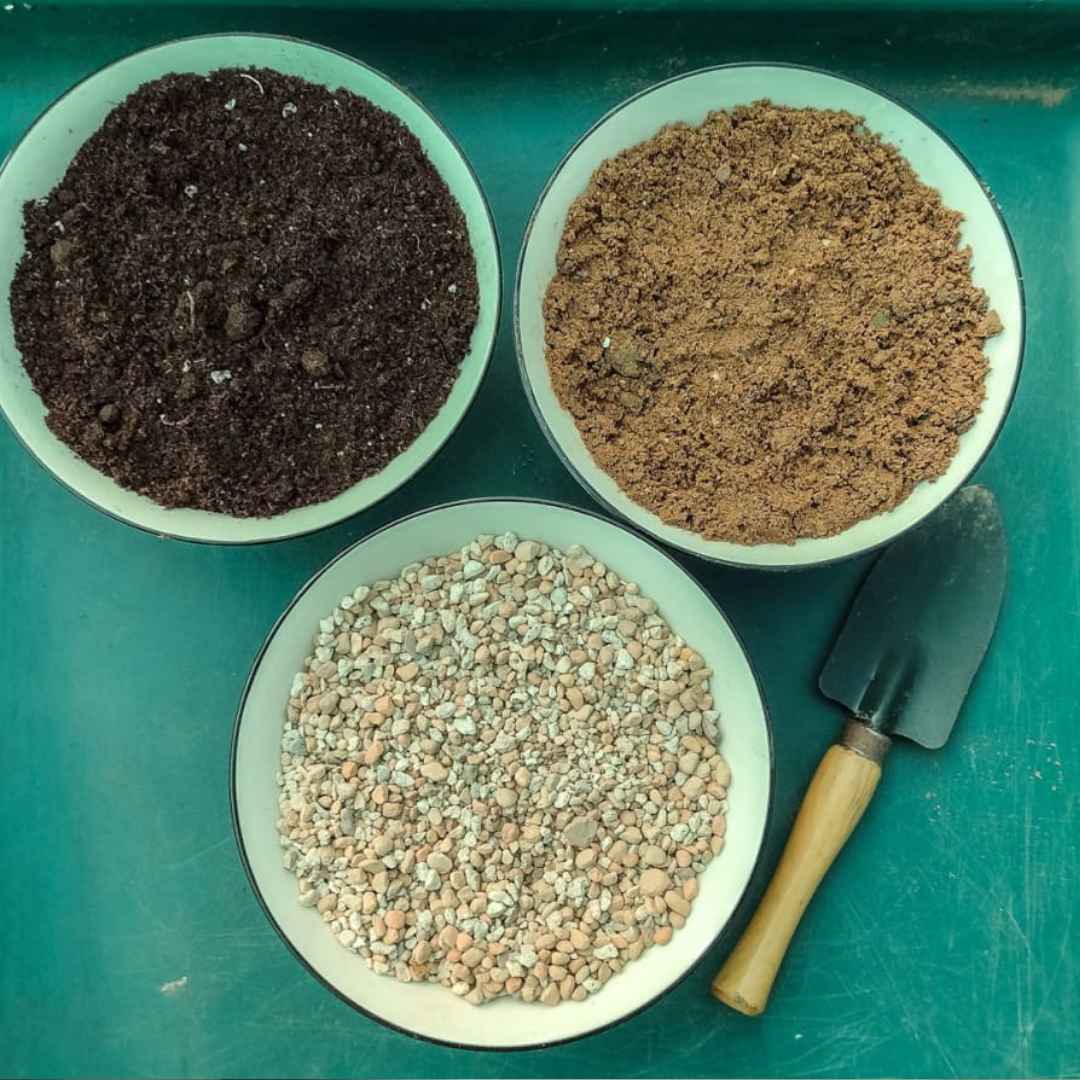 How To Choose The Perfect Soil For Raised Garden Beds? – Slick Garden