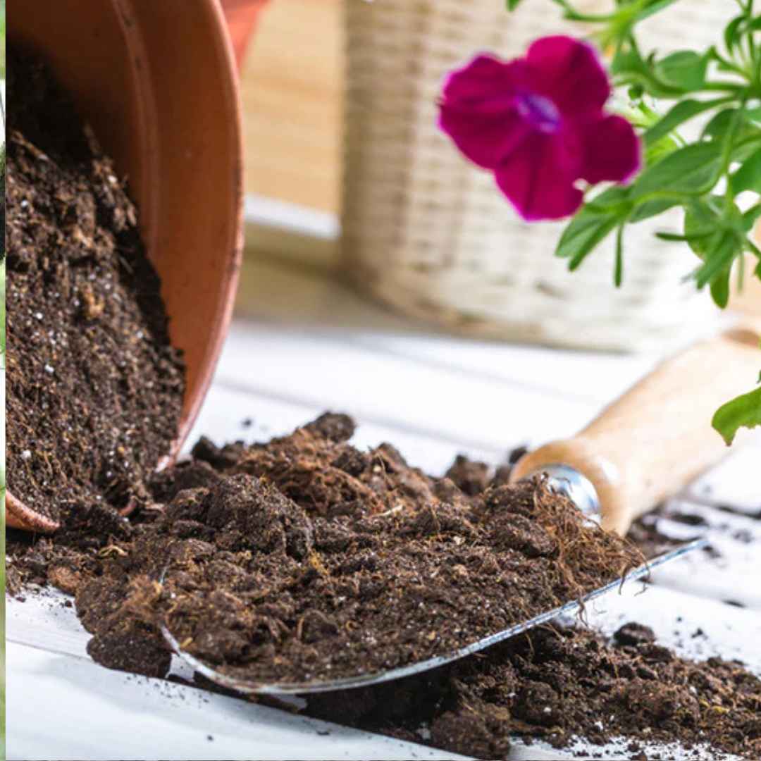 How To Choose The Perfect Soil For Raised Garden Beds? – Slick Garden