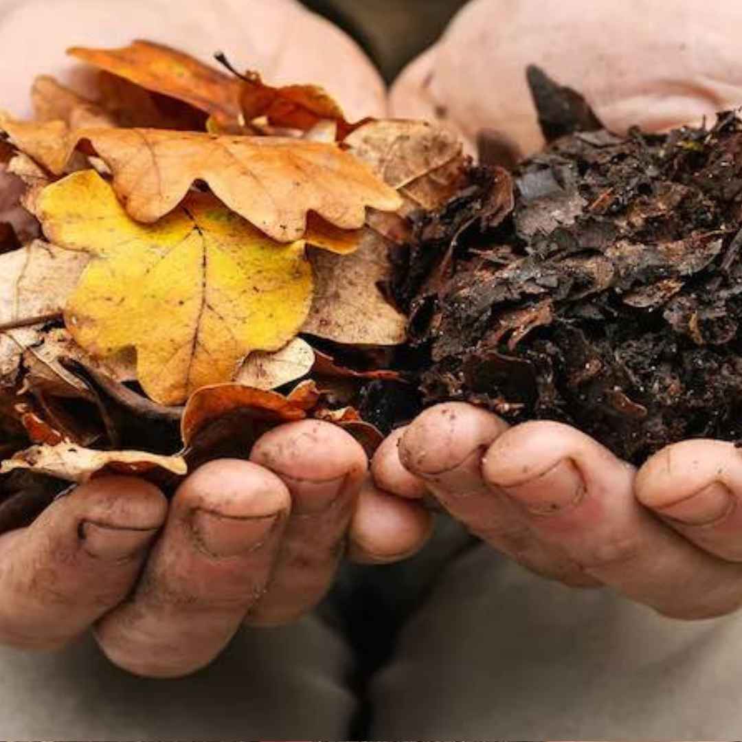 The Best Organic Fertilizers For Raised Garden Beds And No Dig ...