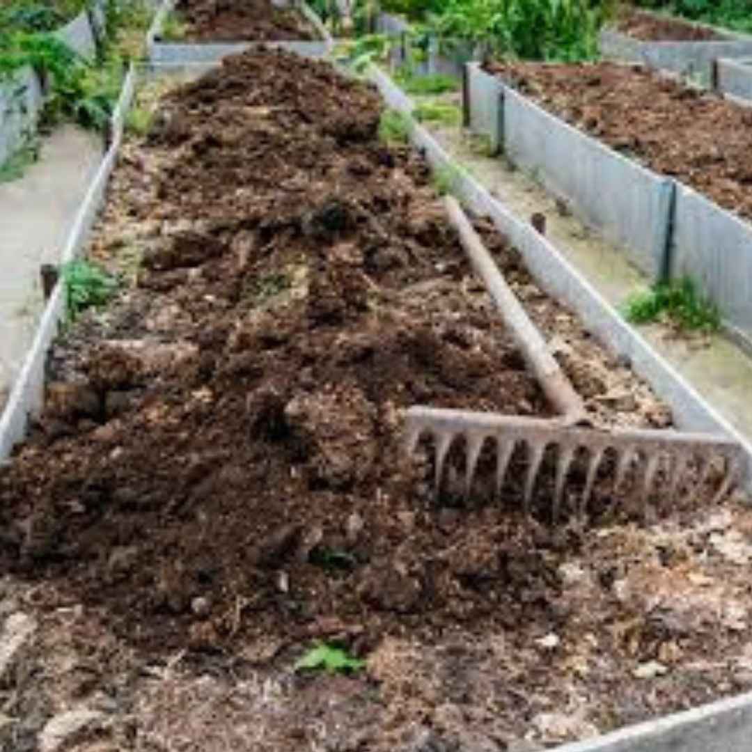 How To Use Mulch Effectively In No Dig Gardening And Raised Garden Beds ...
