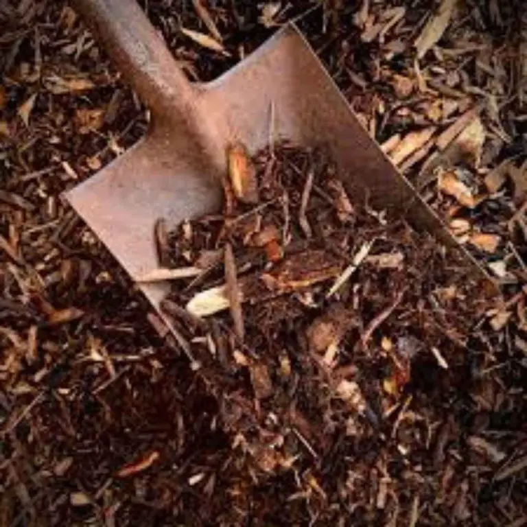 How To Use Mulch Effectively In No Dig Gardening And Raised Garden Beds ...