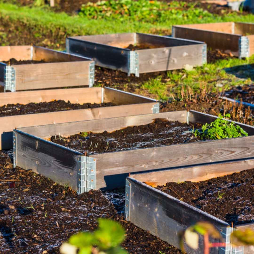 The Pros And Cons Of No Dig Gardening: Is It Right For You: – Slick Garden