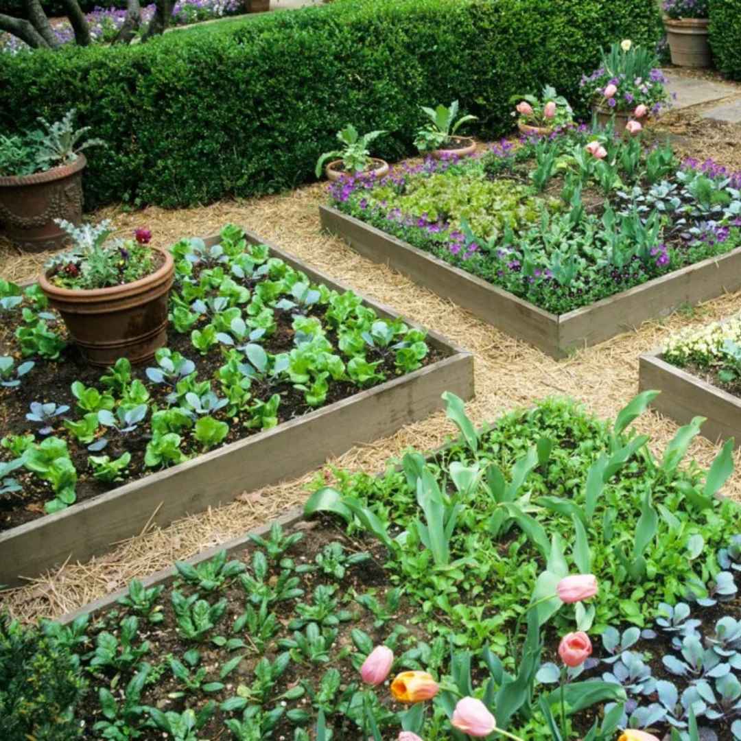 Spring Garden Planning Tips For A Bountiful Harvest: – Slick Garden