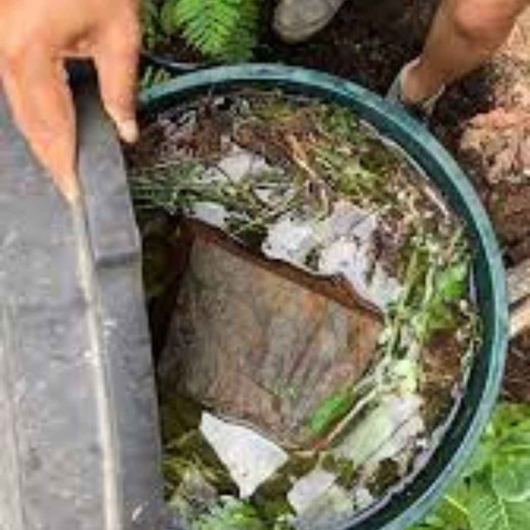 Homemade Liquid Fertilizer Recipes For Lush Spring Growth: – Slick Garden