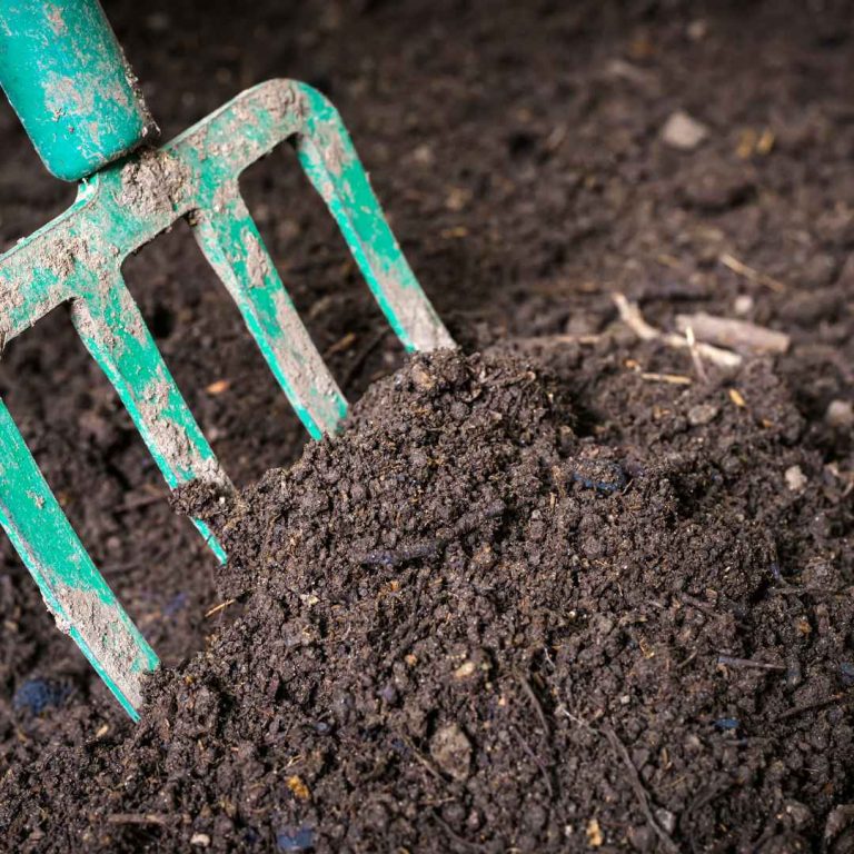 How To Prepare Your Soil For Spring Planting Success: – Slick Garden