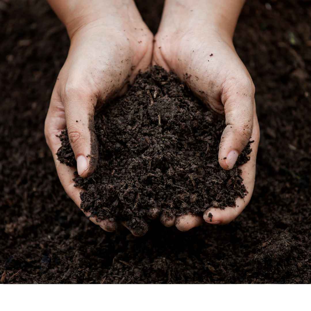 The Pros And Cons Of No Dig Gardening: Is It Right For You: – Slick Garden