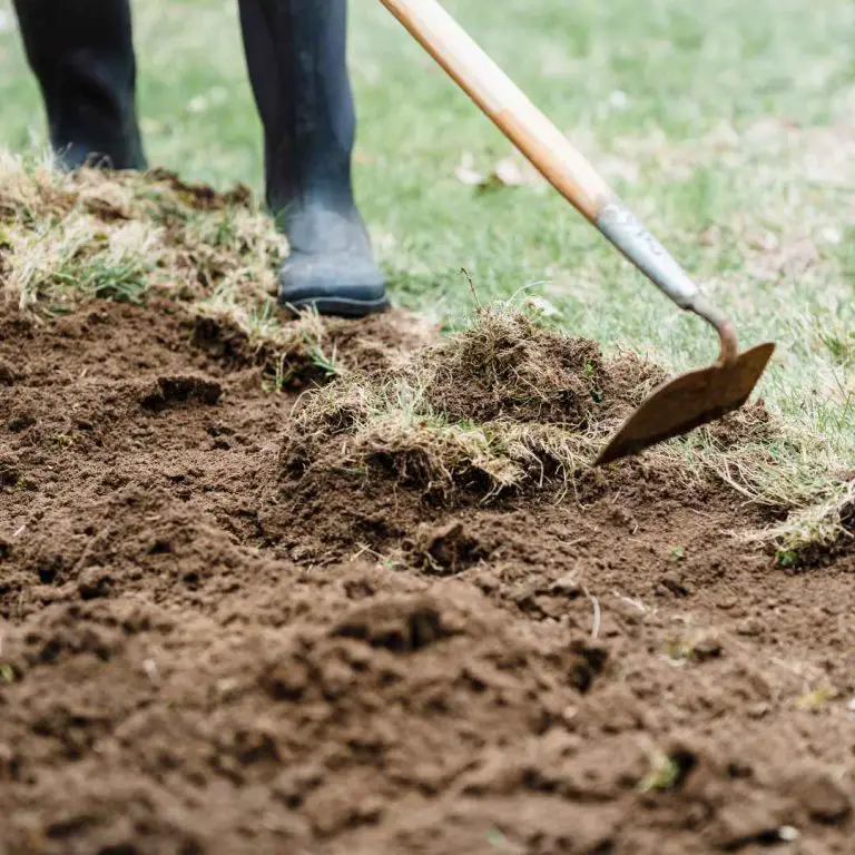 The Pros And Cons Of No Dig Gardening: Is It Right For You: – Slick Garden