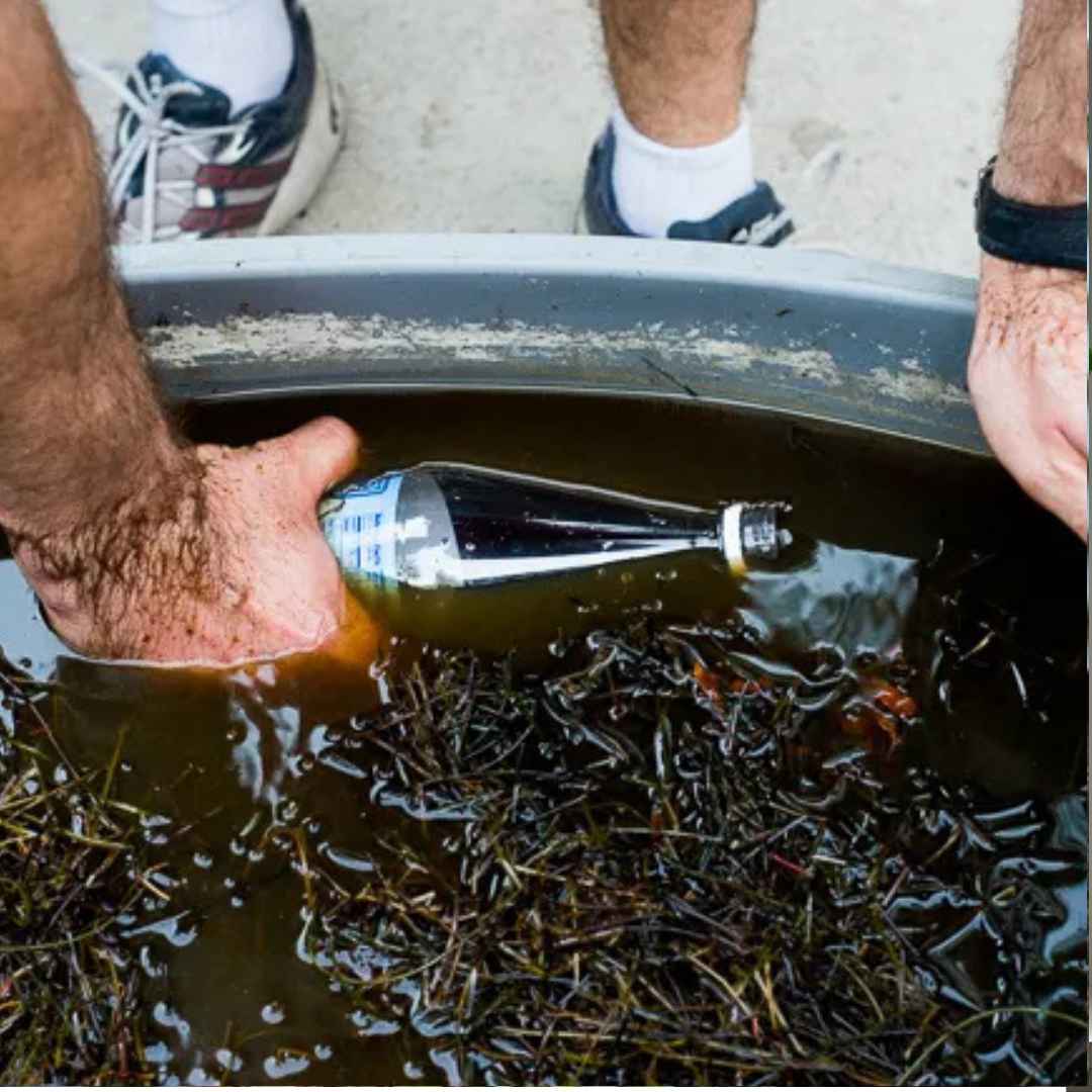 Diy Compost Tea For Spring Gardens (Easy Step By Step Guide): – Slick ...