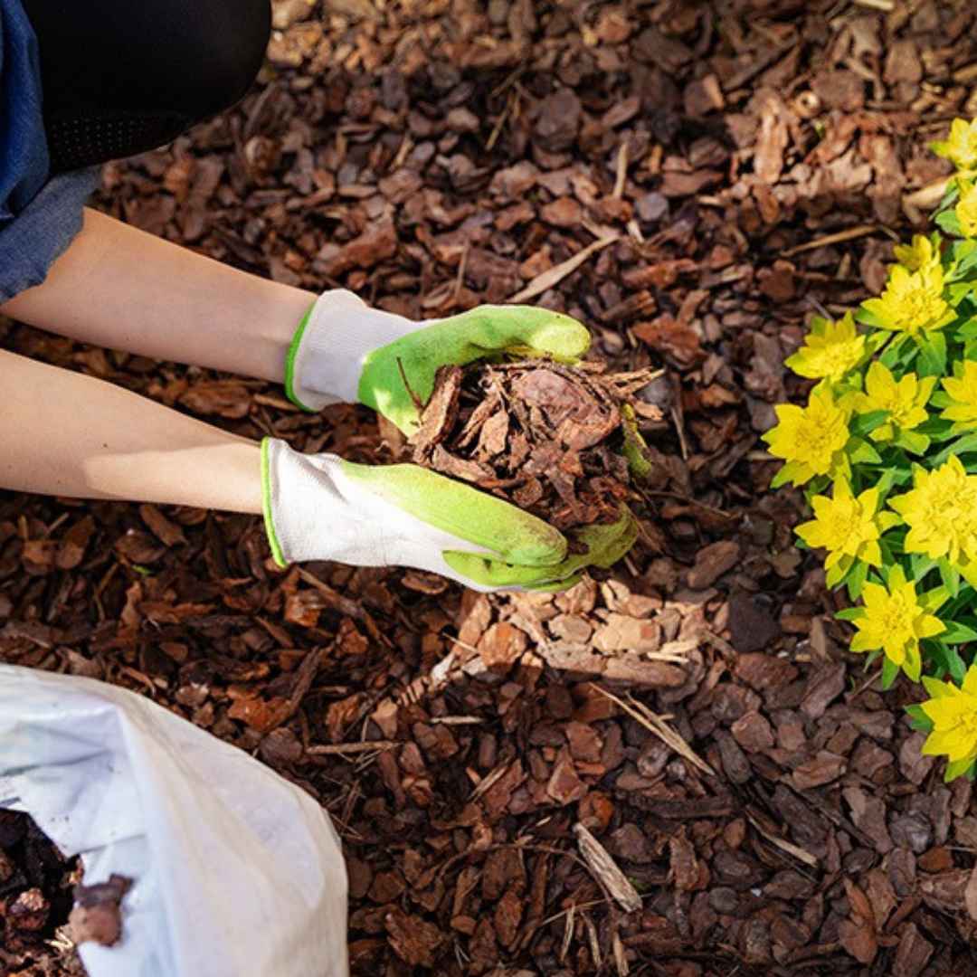 Why Mulching Is Essential For Organic Vegetable Gardens: – Slick Garden