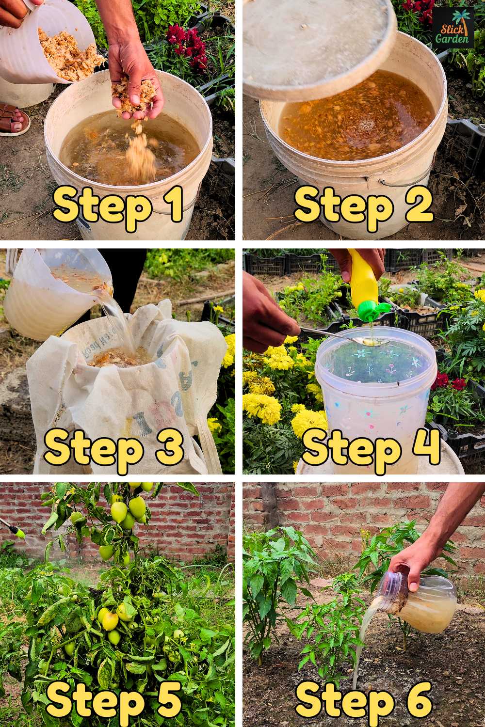 Don’t Throw Away Ginger Waste: Use It in These 2 Powerful Ways for Your ...