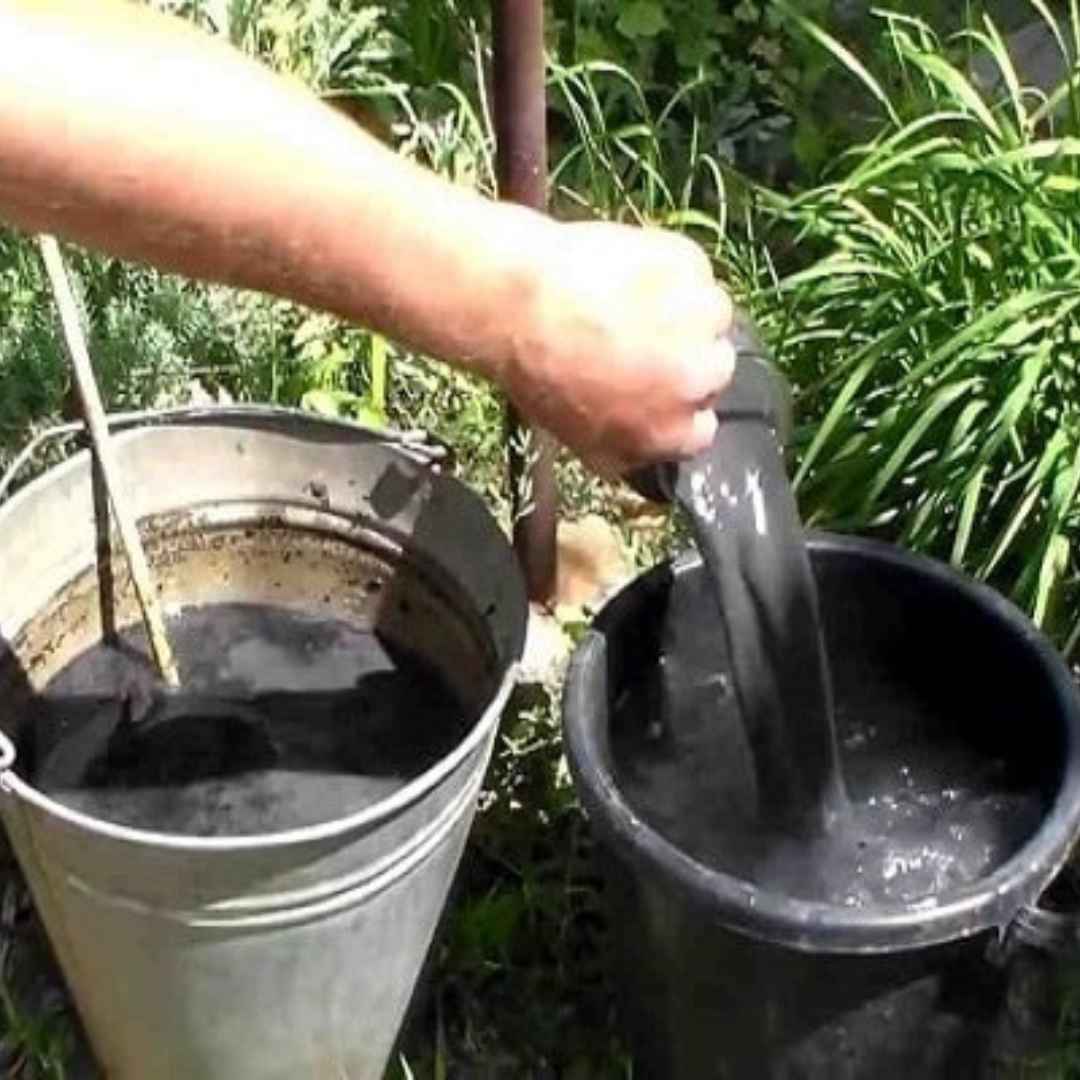 How To Use Wood Ash In The Garden For Maximum Plant Growth: – Slick Garden