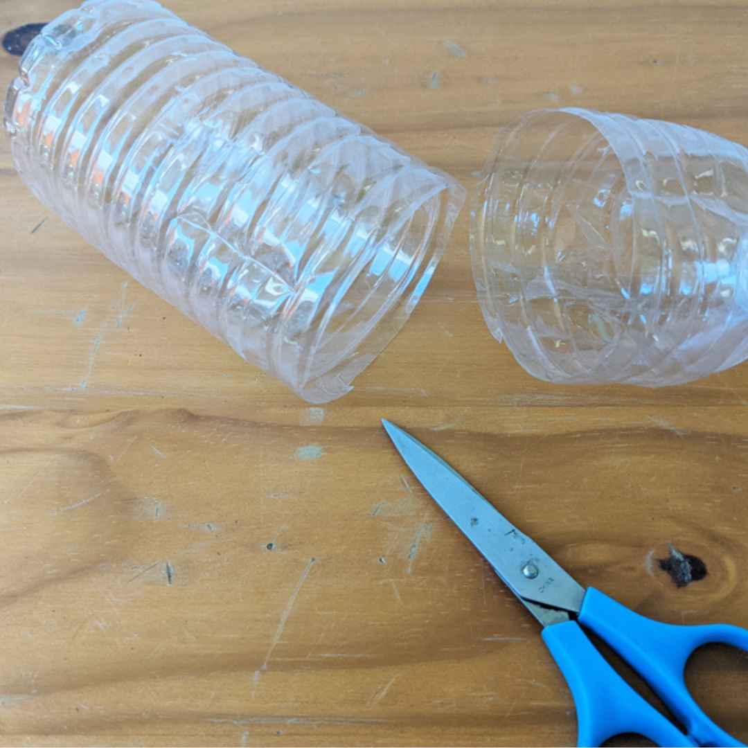 How To Grow Vegetables In Plastic Bottles: A Zero-Waste Gardening Hack ...