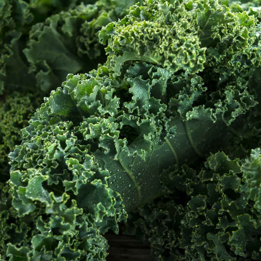 How To Grow Your Own Smoothie Garden: Fruits And Greens At Home ...