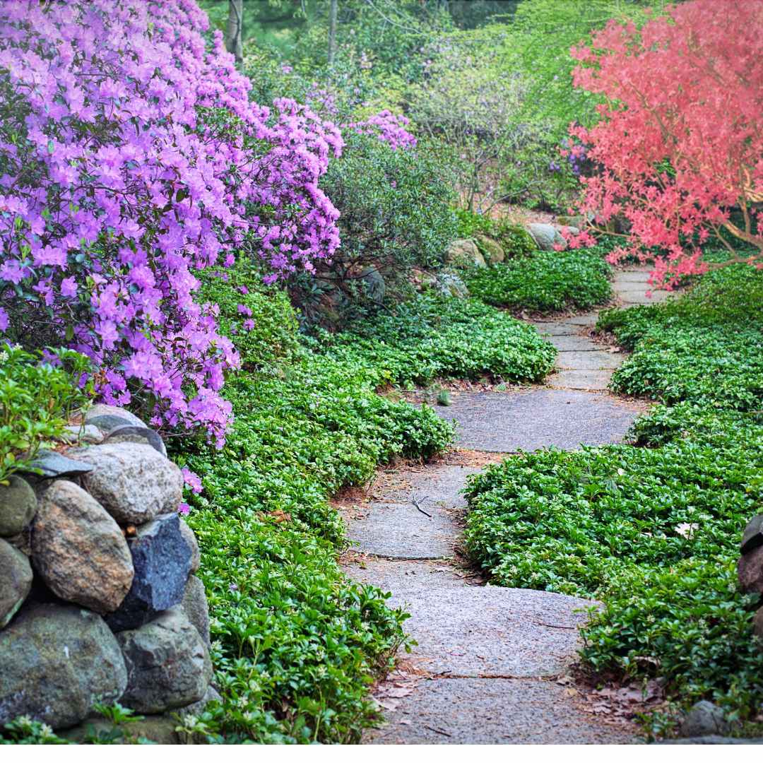 Build Your Own Healing Garden: Plants For Stress, Sleep And Focus ...