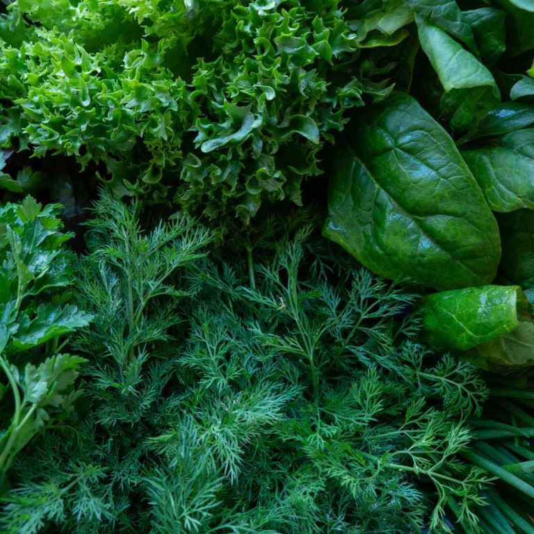 How To Grow Your Own Smoothie Garden: Fruits And Greens At Home ...