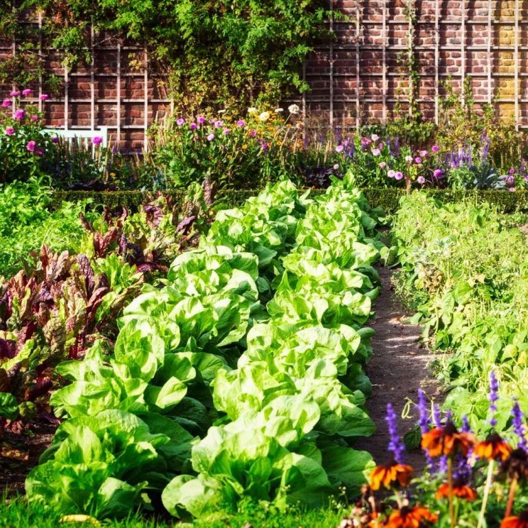 Grow Flowers In Food Growing Area: A Stunning Garden Layout: – Slick Garden