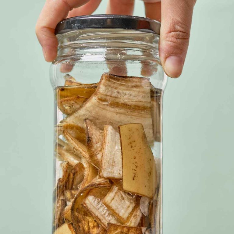 How To Make Homemade Liquid Fertilizers From Fall Leaves: – Slick Garden