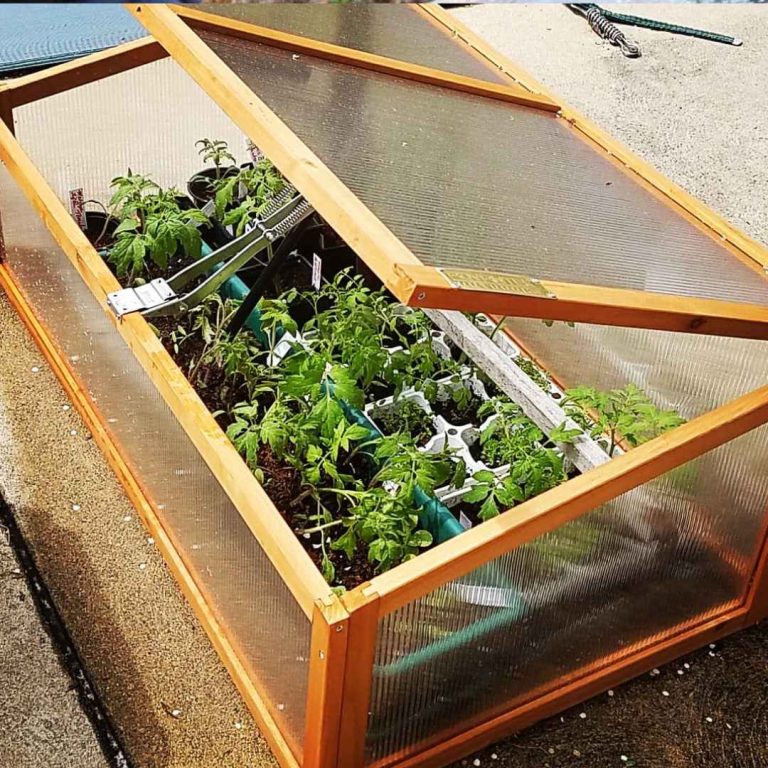 How To Setup a Low Cost Cold-Frame For Fall And Winter Gardening ...