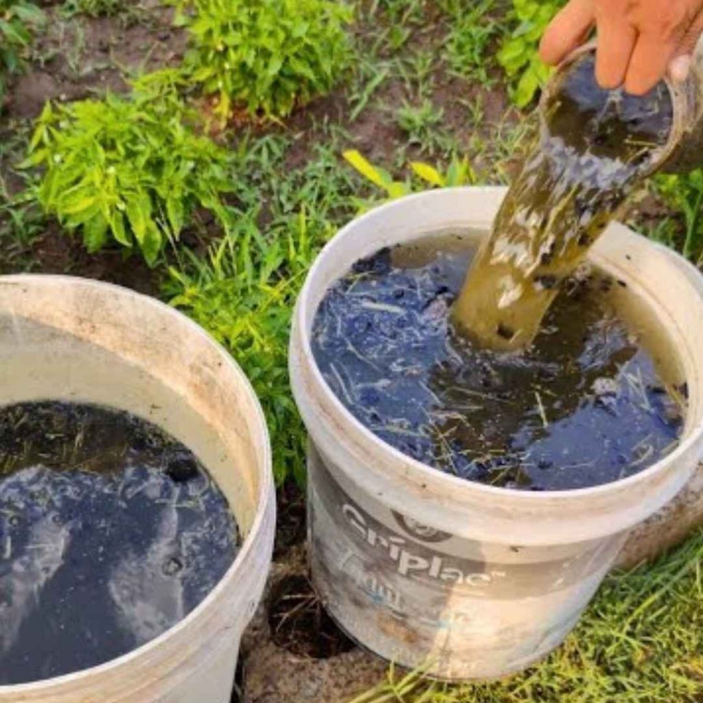 Making Compost Tea: The Ultimate Liquid Fertilizer Guide: – Slick Garden