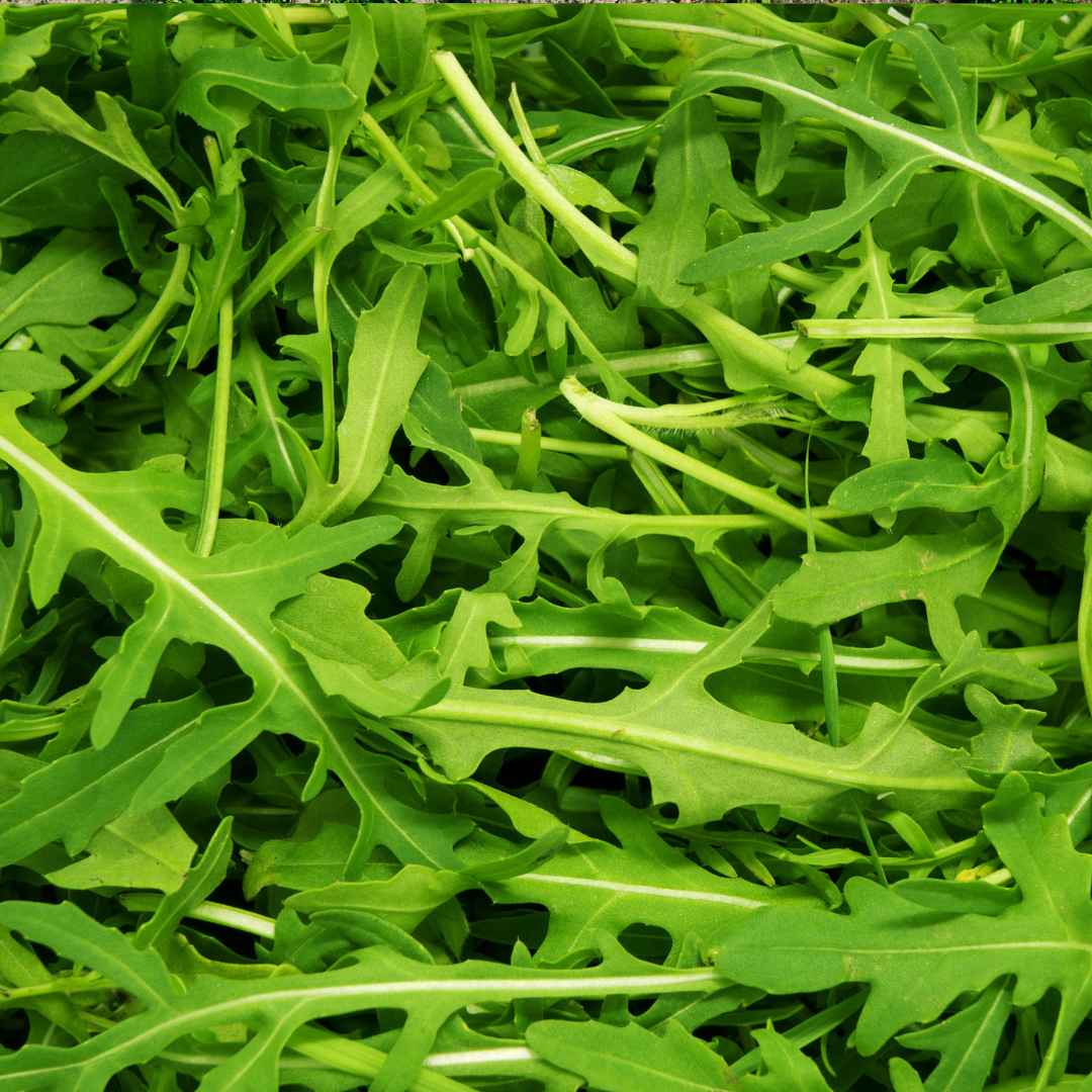 Best Leafy Greens To Grow Indoors In Fall Without Sunlight: – Slick Garden
