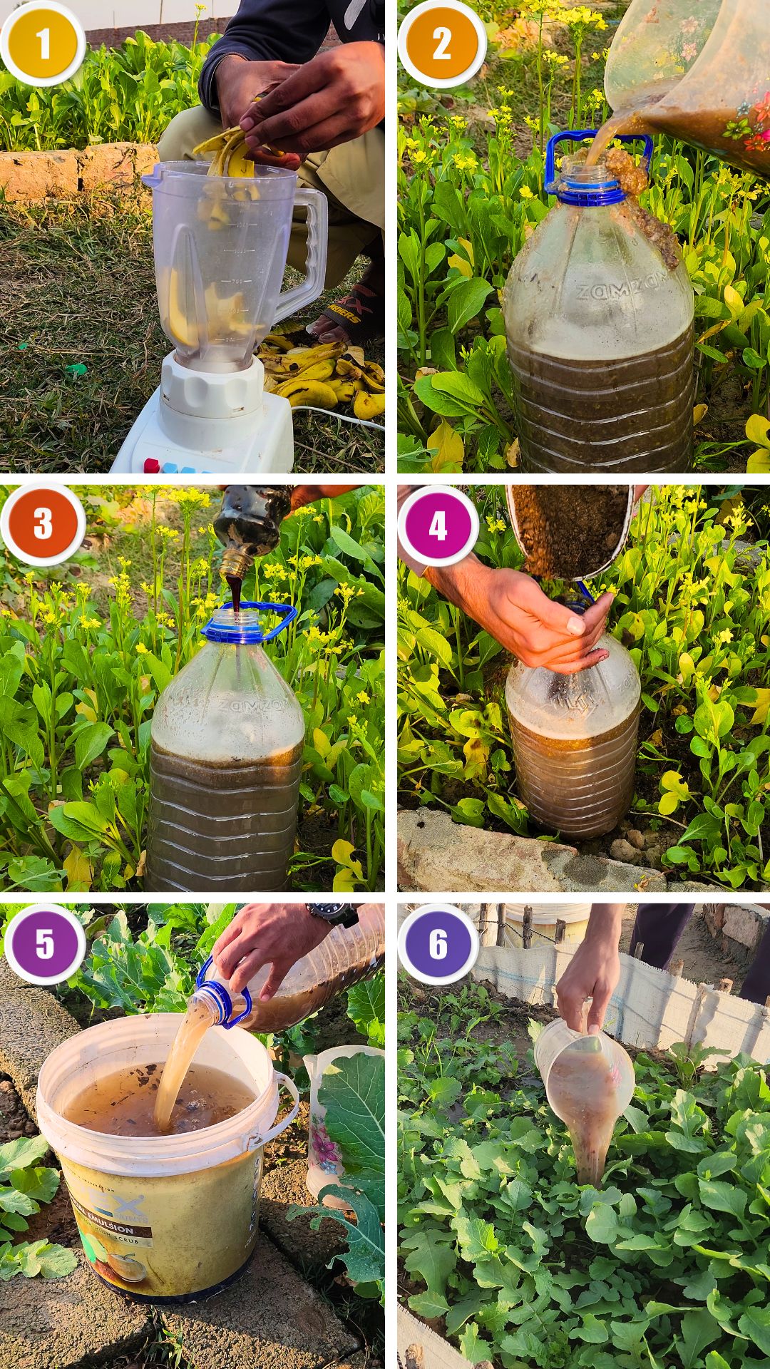 The Most Powerful Liquid Fertilizer You Can Make at Home (100% FREE ...