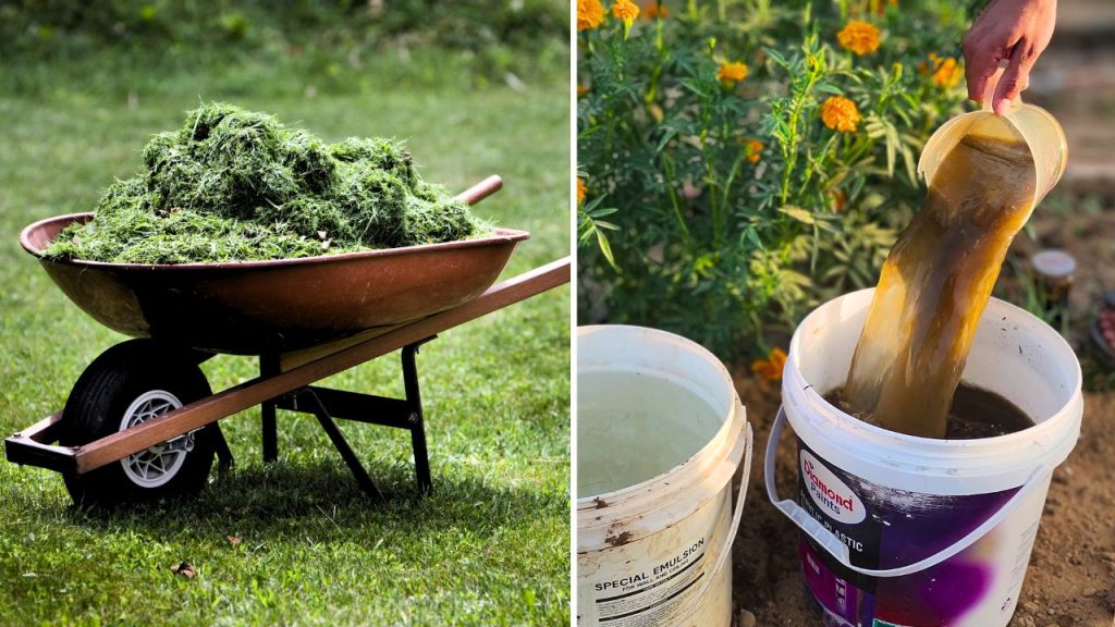 Don’t Waste Your Lawn Grass Again – Turn Grass Clippings and Weeds Into ...