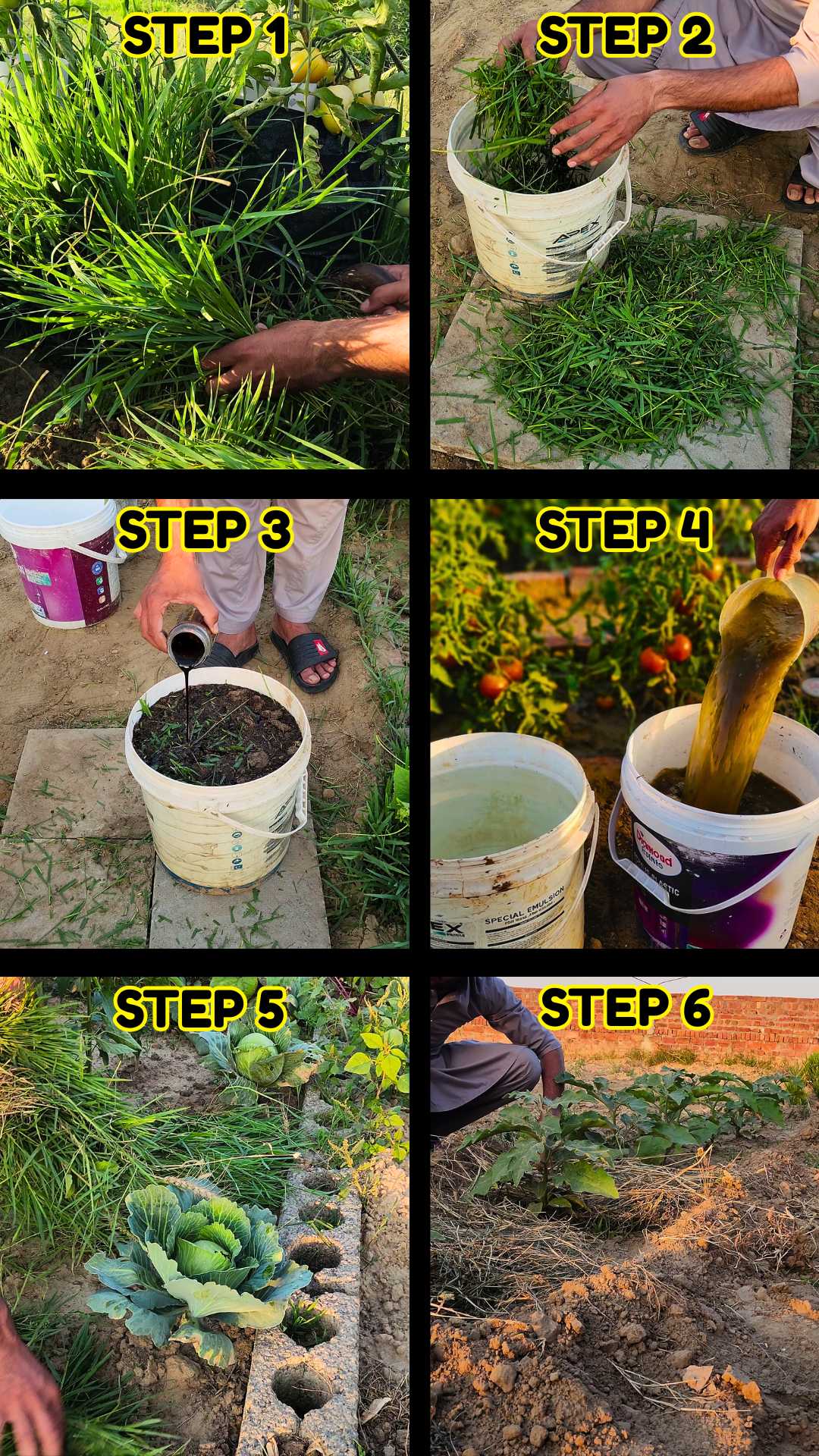 Don’t Waste Your Lawn Grass Again – Turn Grass Clippings and Weeds Into ...