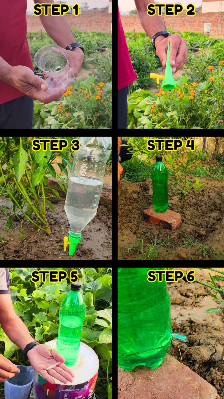 This Simple Plastic Bottle Drip Irrigation Method Can Keep Your Plants ...